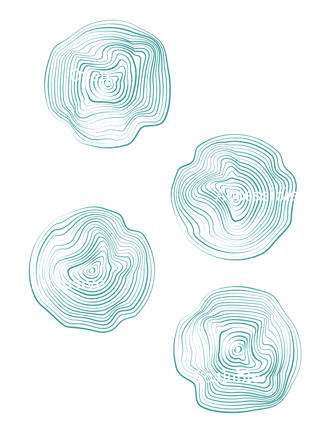 Open Forest Protocol | Our Approach